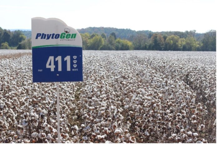 PhytoGen Cottonseed Wins Big In University Trials - Cotton Farming