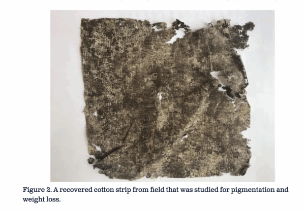 Cotton Strip Soil Test: Rapid Assessment of Soil Microbial Activity in ...